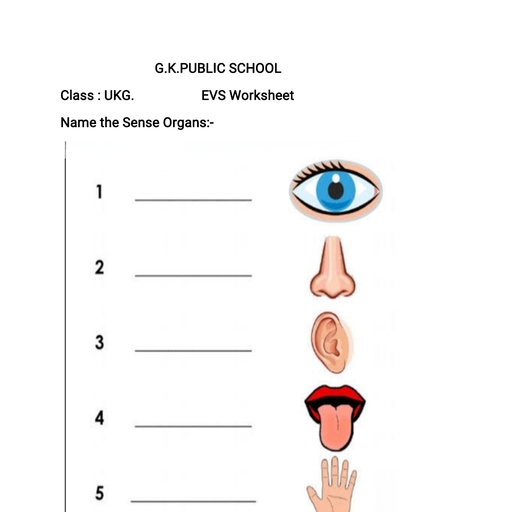 UKG EVS Worksheet 1.pdf - EVS - Notes - Teachmint