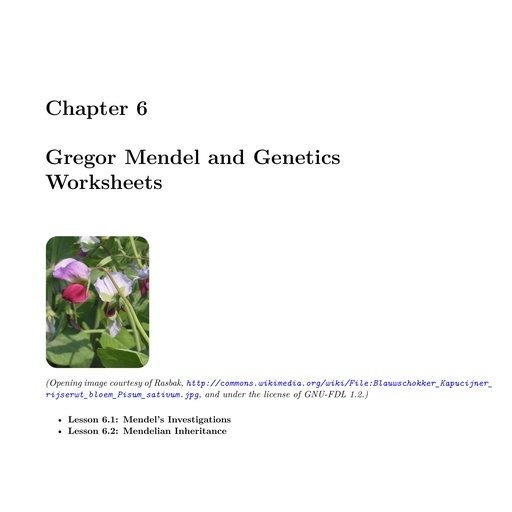 Chapter 6 CK-12 Biology - Fundamentals Of Genetics - Notes - Teachmint