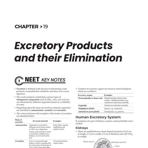 19, excretory system.PDF - Biology - Notes - Teachmint